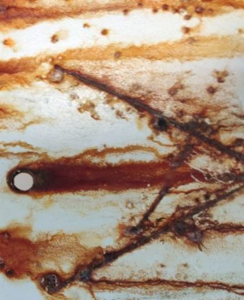 Solutions for paint defects. - Pitture Smalti e Rivestimenti per ...